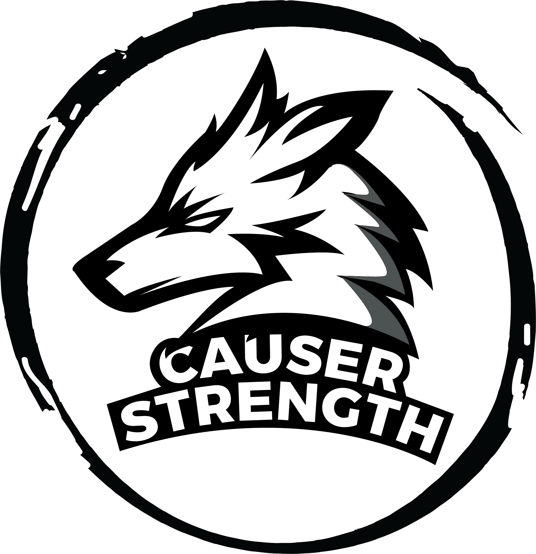 Programs – Causer Strength